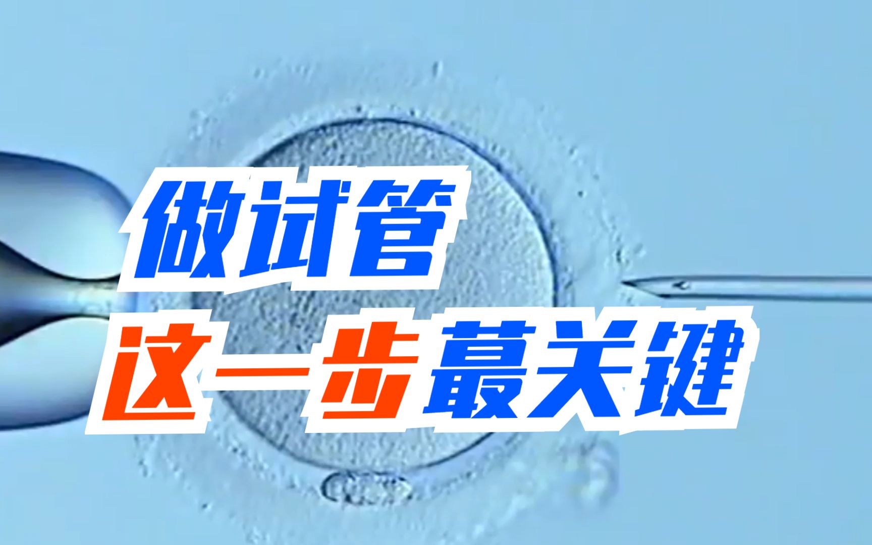 试管能不能成功,这一步很关键