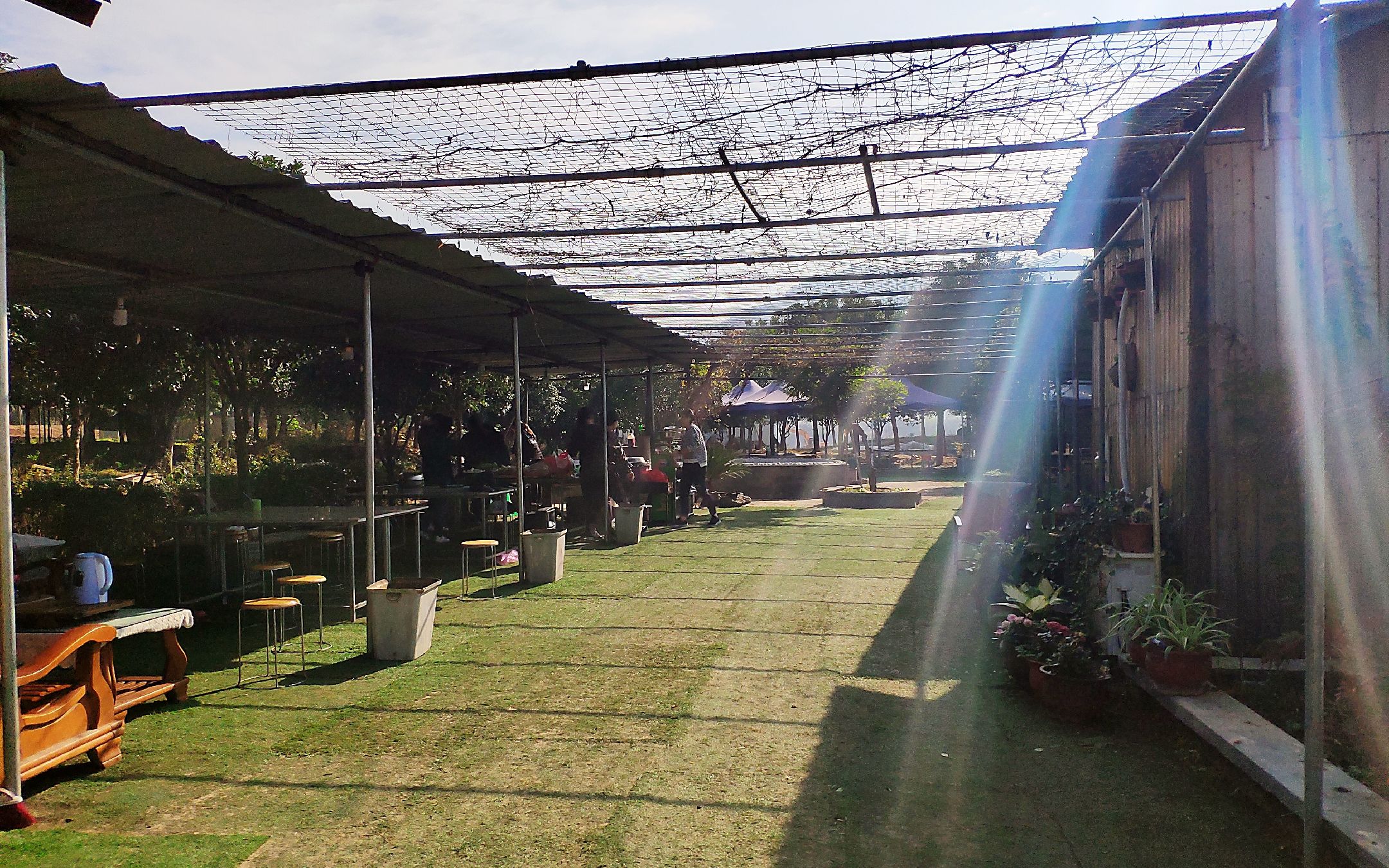 #30天vlog挑战#volg 班级活动