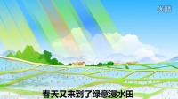 中国最好的大米是这样成长地!
