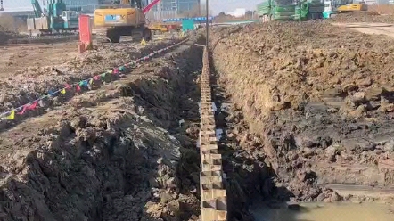 看看客户这个工地拉森钢板桩打的齐不齐