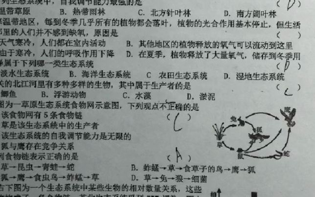 寒冷地区有氧气的原因