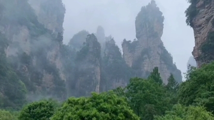 张家界森林公园风景区