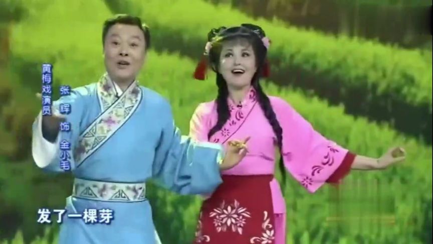 黄梅戏《打猪草 对花》,精彩再现、百听不厌!