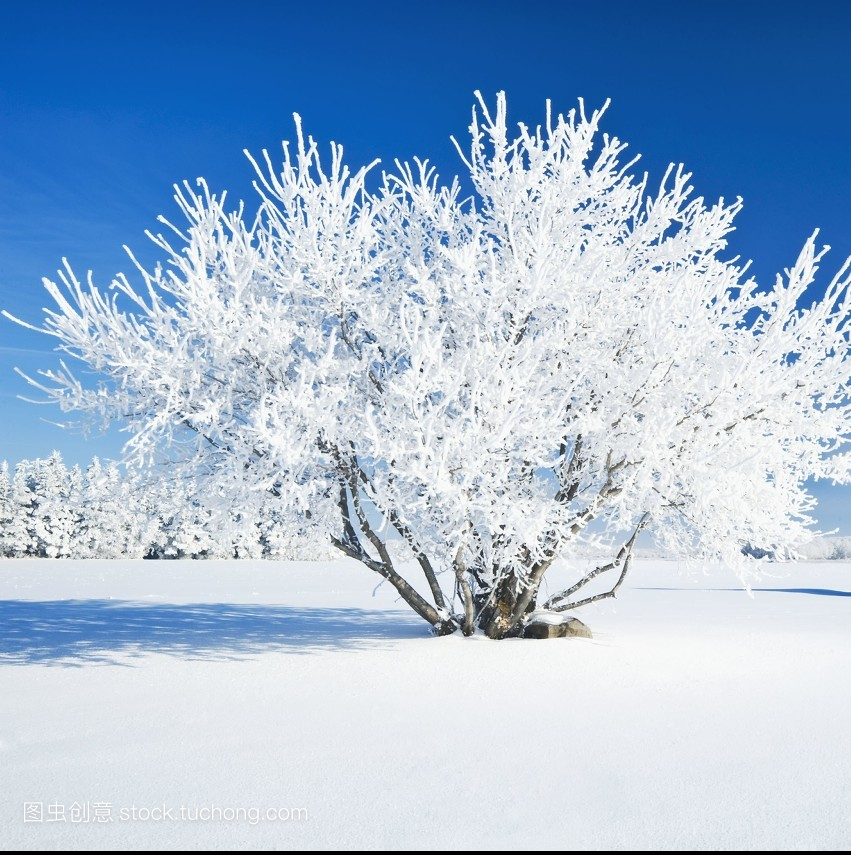 地球驻黑洞全权大使 