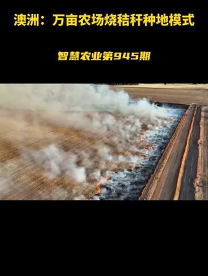 ...土地面积大,采用开皮卡遥控点燃模式,烧了过后再进行现代化的耕作