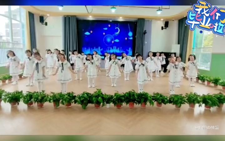 幼儿园毕业集体舞,简单好排 幼儿园毕业节目 毕业季 幼师舞蹈 毕业...