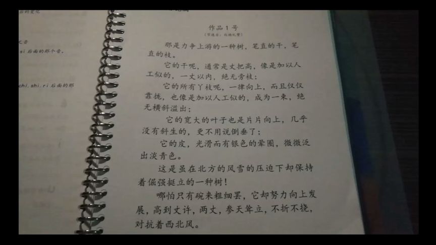 播音学习～作业4(白杨礼赞节选)