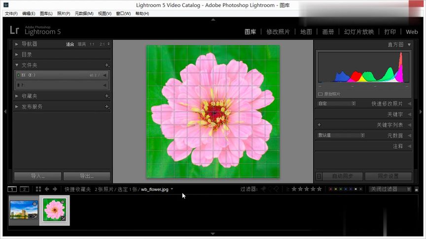 Lr零基础教程:第35讲,在放大视图上叠加参考线