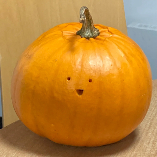 阿苑AMO 