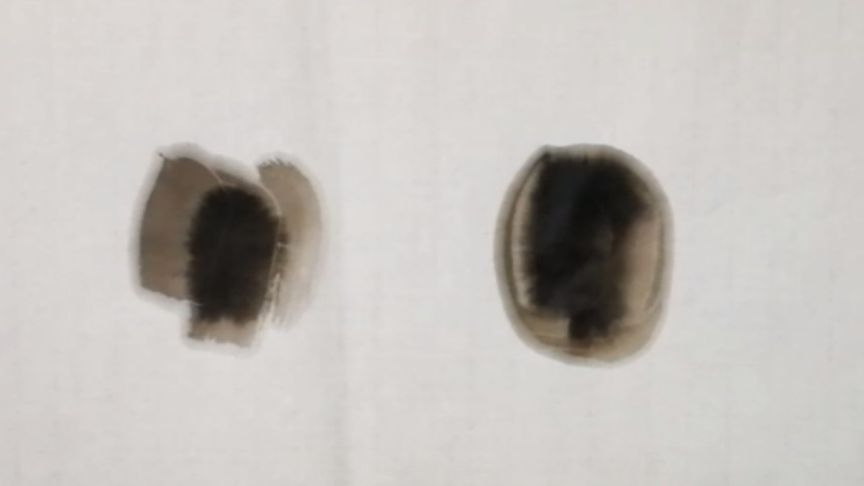 1.2.3.1破墨法,墨法,墨,基础入门,国画快速入门