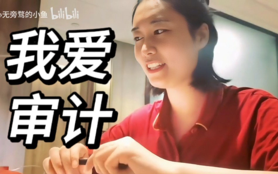 【随便聊聊】我为什么这么喜欢审计?