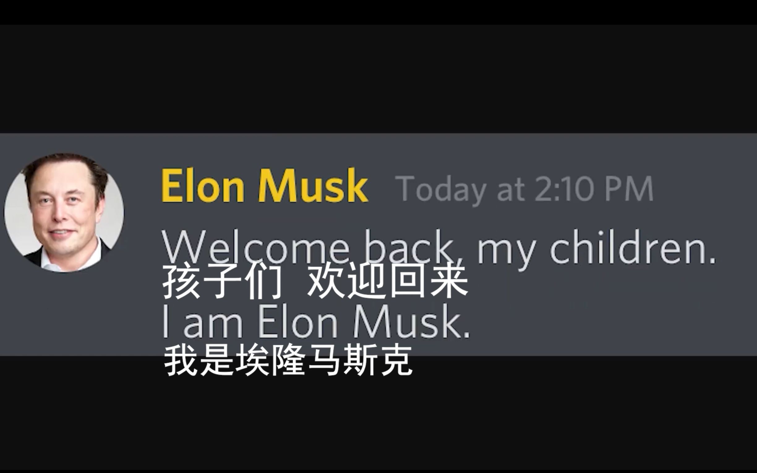 [Beluga和他的小伙伴]当埃隆马斯克收购了discord…