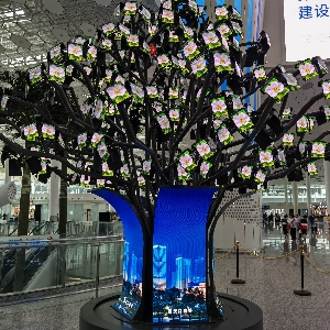 跨境任 