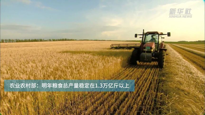 农业农村部:明年粮食总产量稳定在1.3万亿斤以上