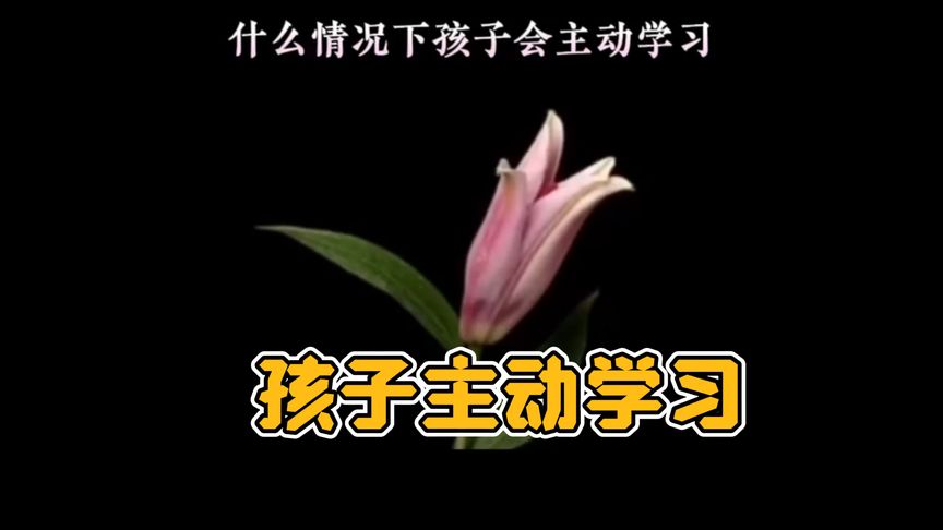 这条视频告诉你怎样激励孩子学习,主动学习,家长们一定要收藏
