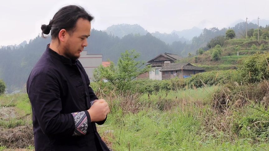 农村每到三月三都用“地菜”煮鸡蛋,地菜也是一种草药,你了解吗