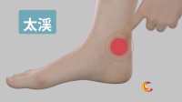 每周一穴——太溪穴