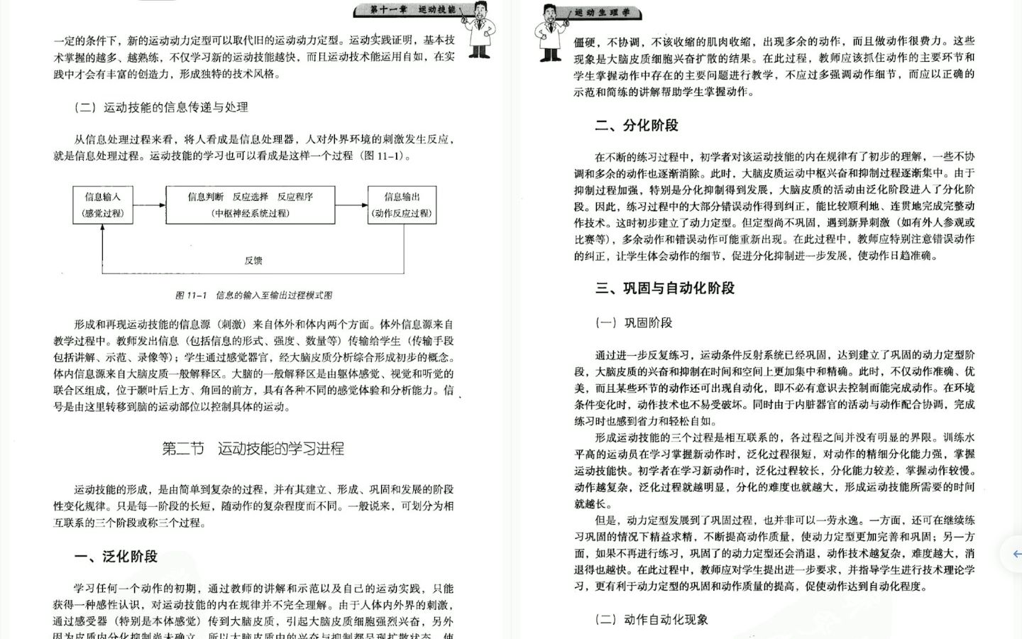 运动生理学如何背书示例