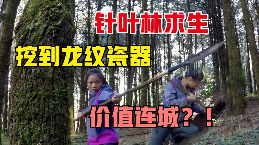 针叶林求生,挖到龙纹瓷器,莫不是古代皇帝陪葬品
