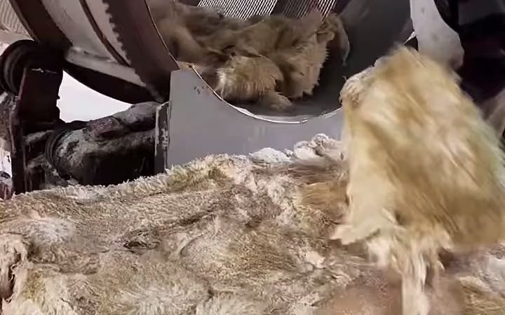 用了这么多年的羽绒被,今天才知道羽绒被子原来是这样做出来的,涨...
