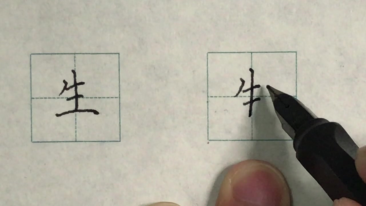 硬笔书法楷书每日一字: 生
