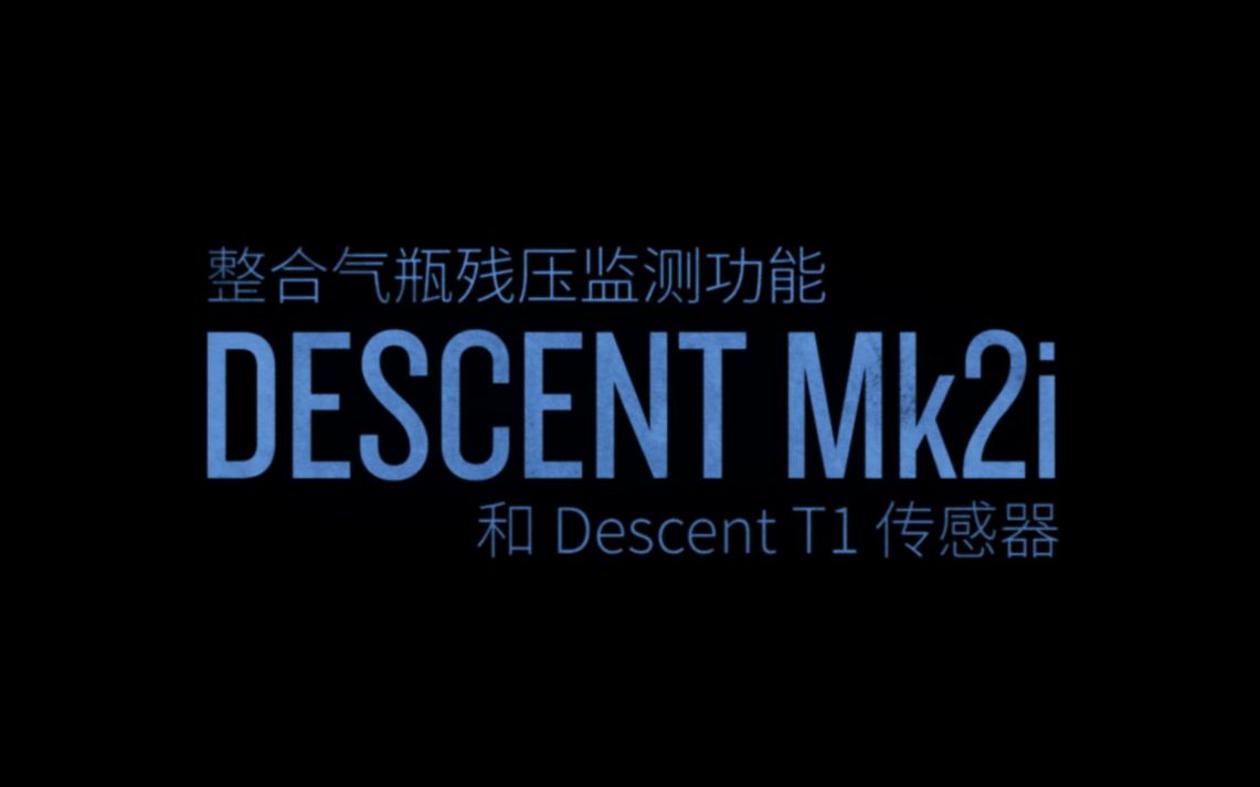 为您介绍 Garmin佳明 DESCENT MK2 潜水电脑表系列