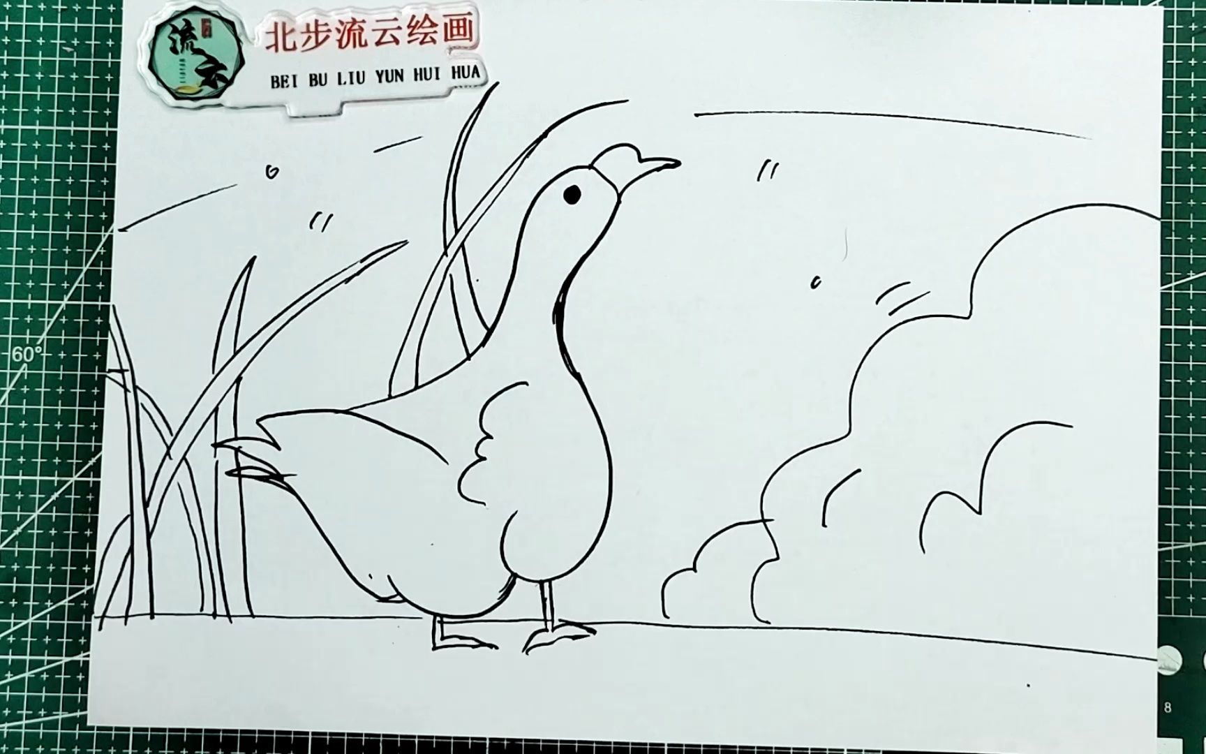 大白鹅简笔画,适合孩子画的儿童画
