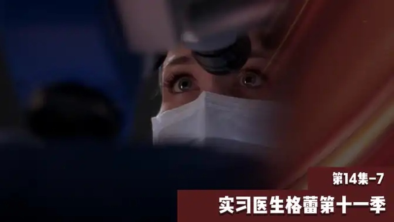 实习医生格蕾第十一季:手术超时,辐射危机(210)