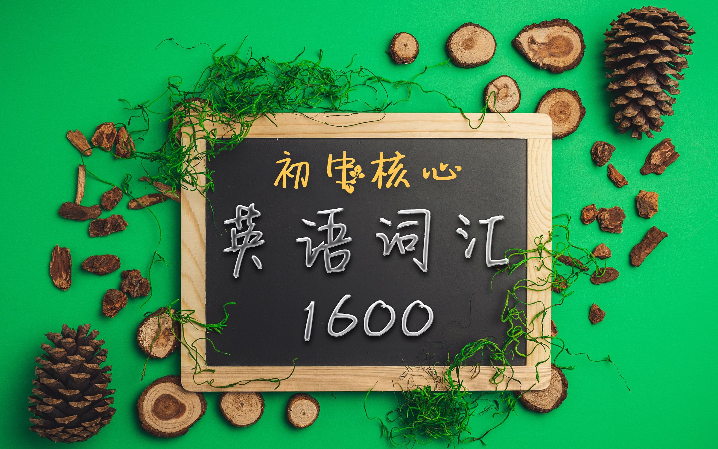 初中英语核心词汇1600 第75节电脑