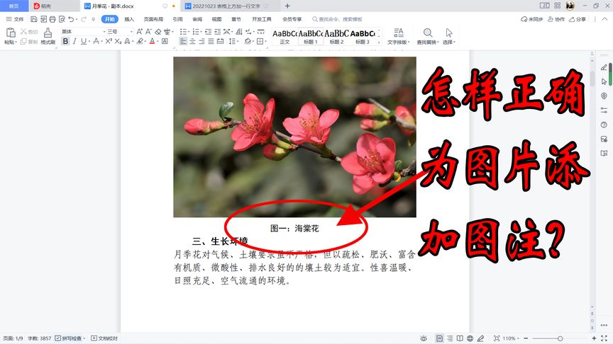 WPS文档怎样给图片添加图注?很多人都错了,这才是正确方法