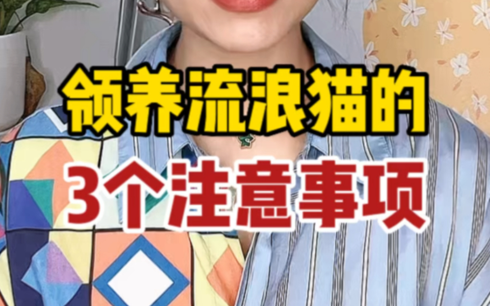 想把流浪猫带回家,记得提前做好这几个准备,领养代替购买,给流浪的...