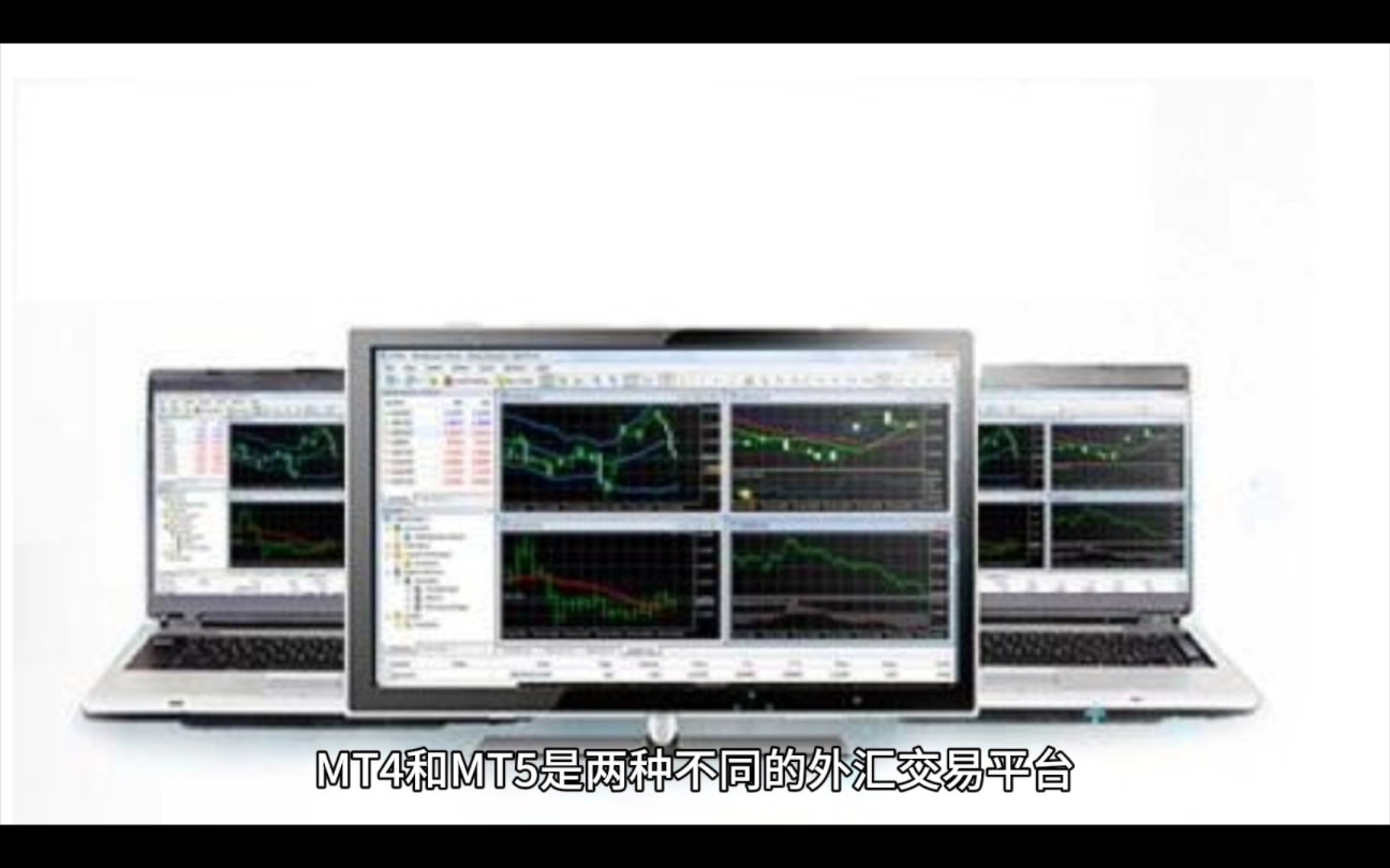 MT4/MT5外汇交易所平台开发场景应用