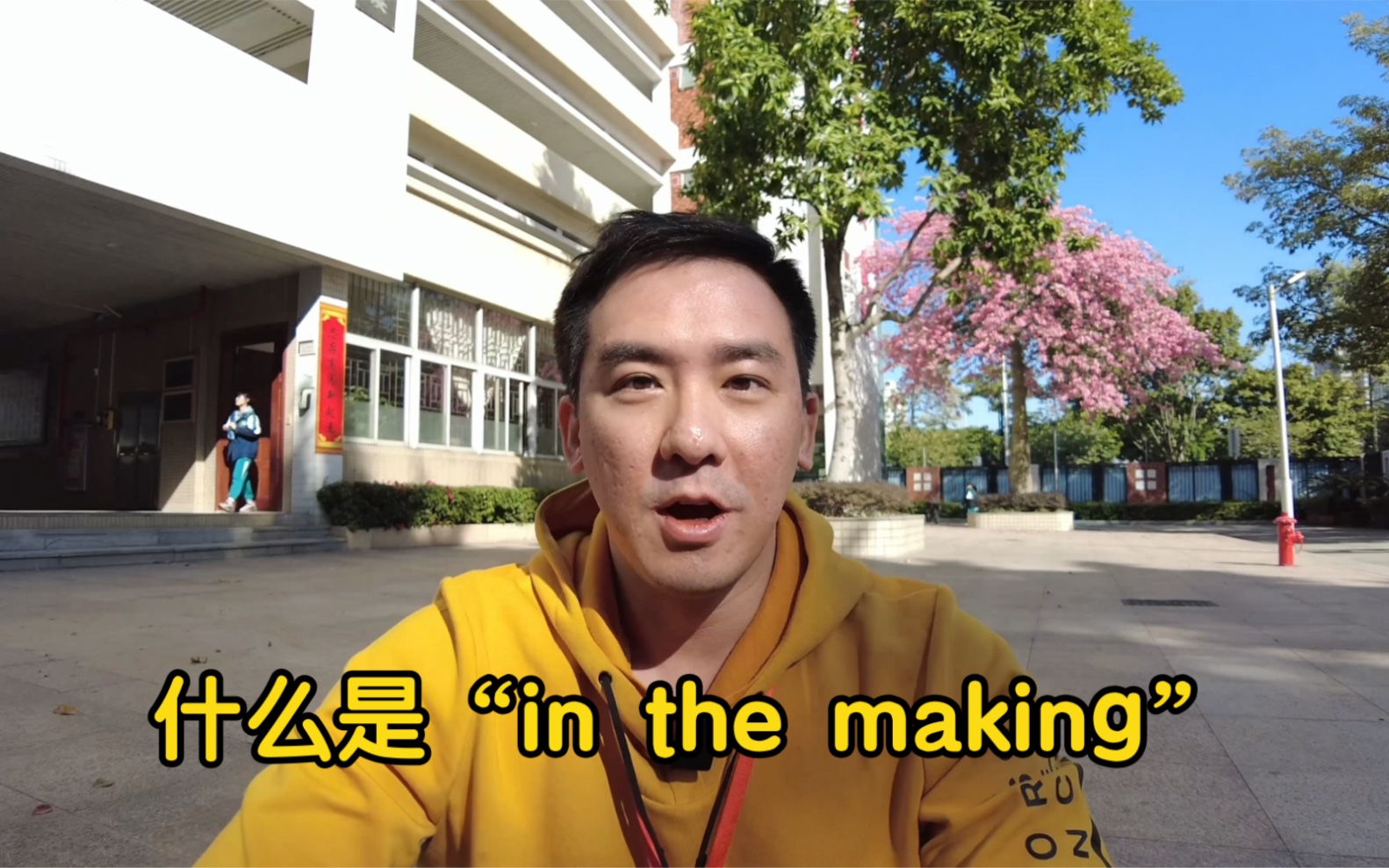 阅读分享-in the making
