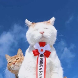 姜的味道是热的 