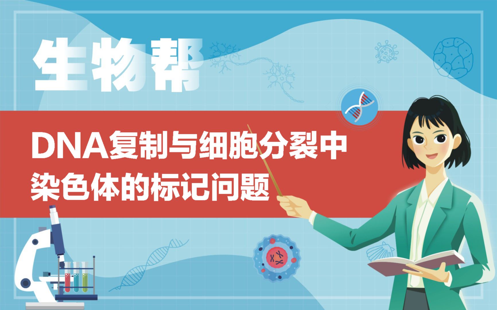 DNA复制与细胞分裂中染色体的标记问题