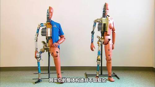 探访人体模型工厂,撞击测试人体模型制造的全过程