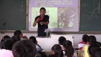 第一单元 美术的主要表现手段_第1课 造型的表现力_第一课时(安徽省...