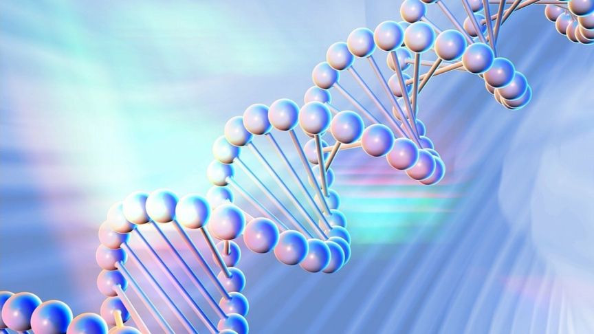 DNA双螺旋结构模型的发现