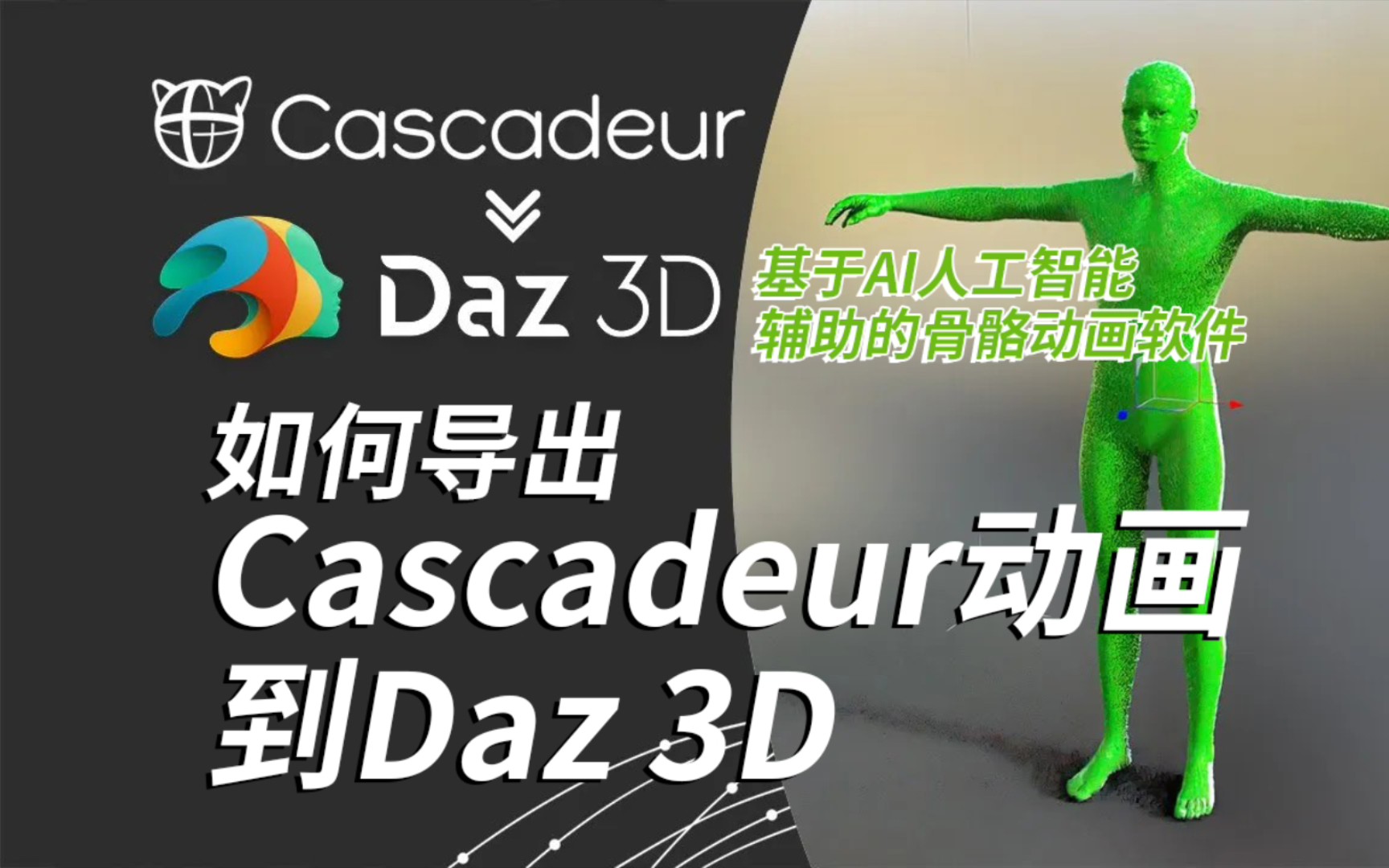 从Cascadeur到Daz 3D的动画导出方法