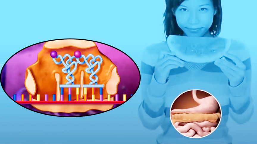3D动画科普基因的表达原理,生物进化真是一种神奇的存在