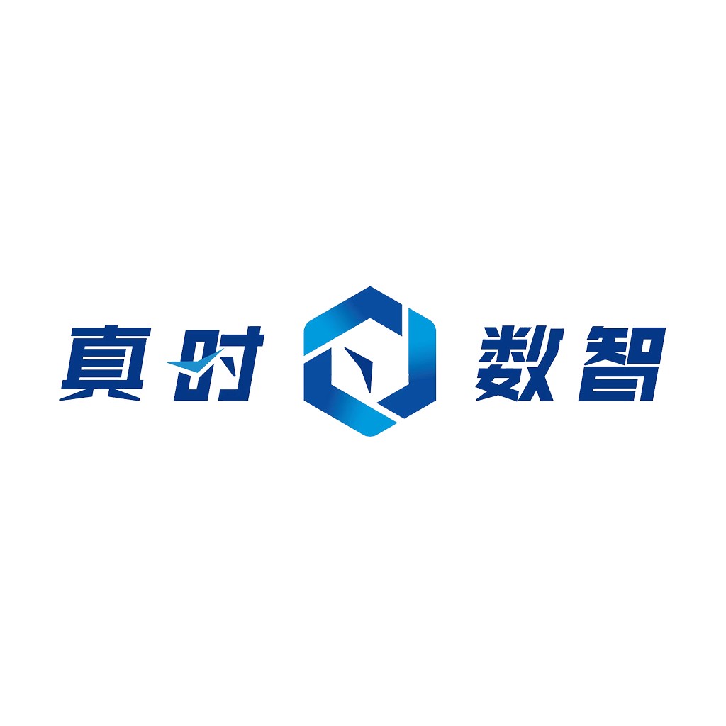 真时数智 