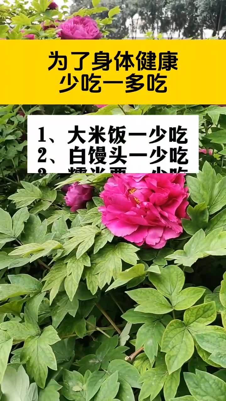 为了身体健康 少吃一多吃