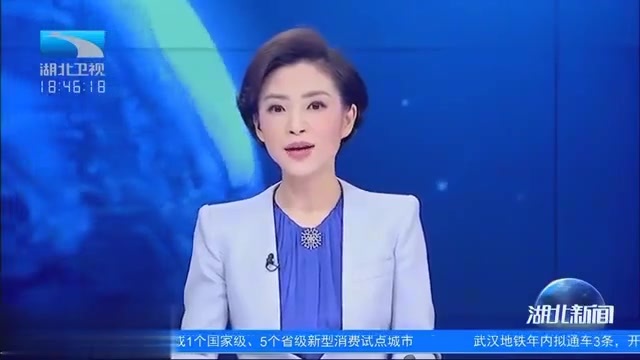 王忠林出席全省政府专项债券发行使用管理工作推进会
