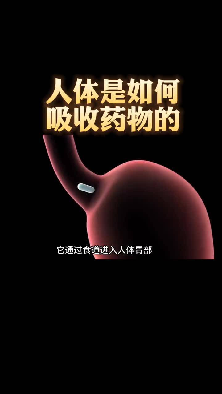 穿过胃壁上皮细胞的细胞膜