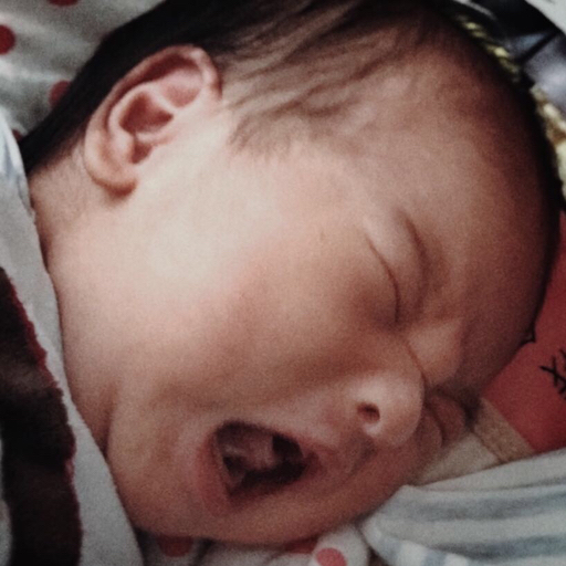 爱学习的大奋奋 