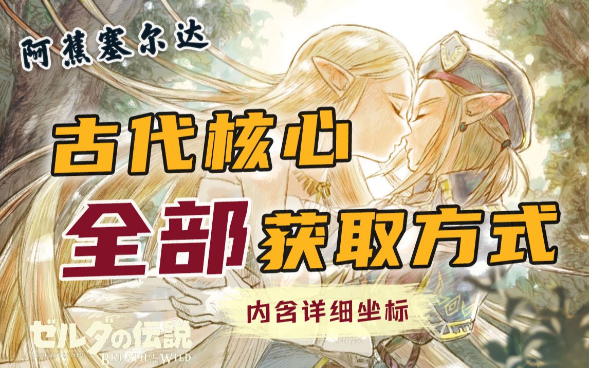 【阿蕉塞尔达】所有古代核心获取方式