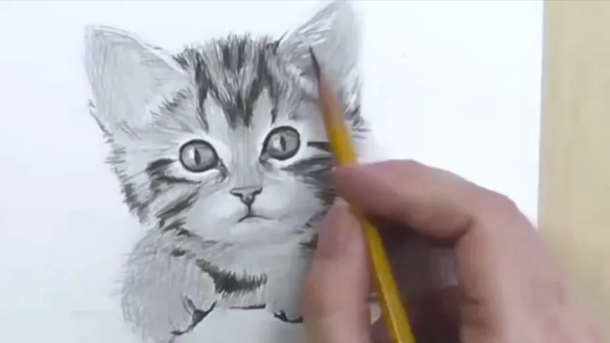 如何素描画一只可爱的小猫,教程来了
