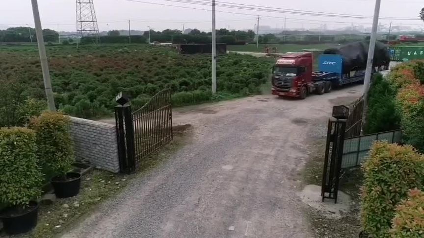 因为专业,必然精致!#农业种植 #园林绿化 #美丽乡村建设