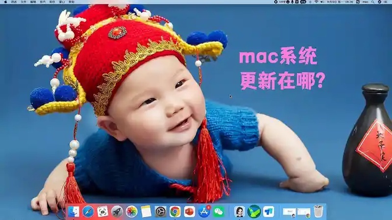 mac系统更新在哪