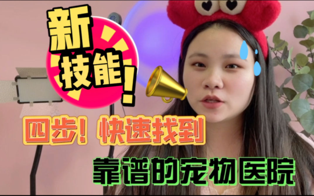 简单四步,快速找到靠谱的宠物医院,宠物生病不再抓瞎